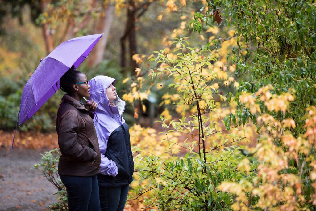 Improving Opportunities to Access Nature in City Parks | Nature and Health