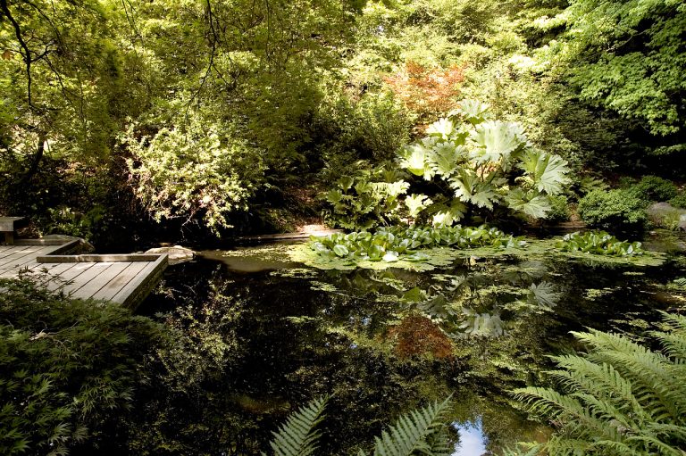 Generational Amnesia: The Memory Loss That Harms the Planet | Nature ...