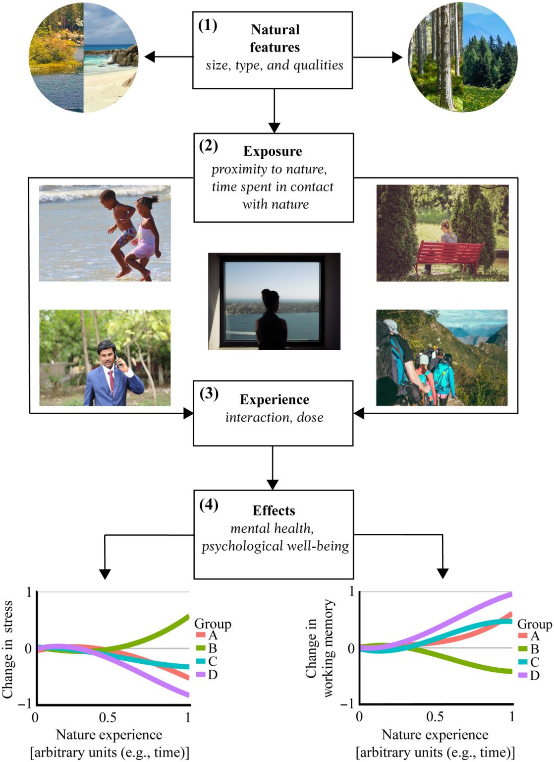 Nature and Mental Health: An Ecosystem Service Perspective | Nature and ...