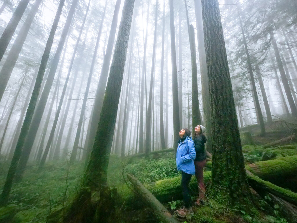 Nature and Health | University of Washington