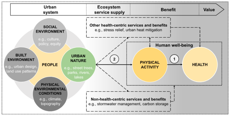 An Ecosystem Service Perspective on Urban Nature, Physical Activity ...