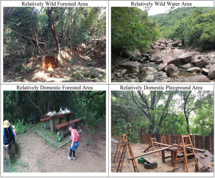 Children in Hong Kong Interacting with Relatively Wild Nature (vs ...