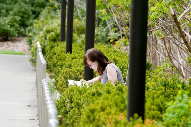 Associations of Nature Contact with Emotional Ill-Being and Well-Being ...