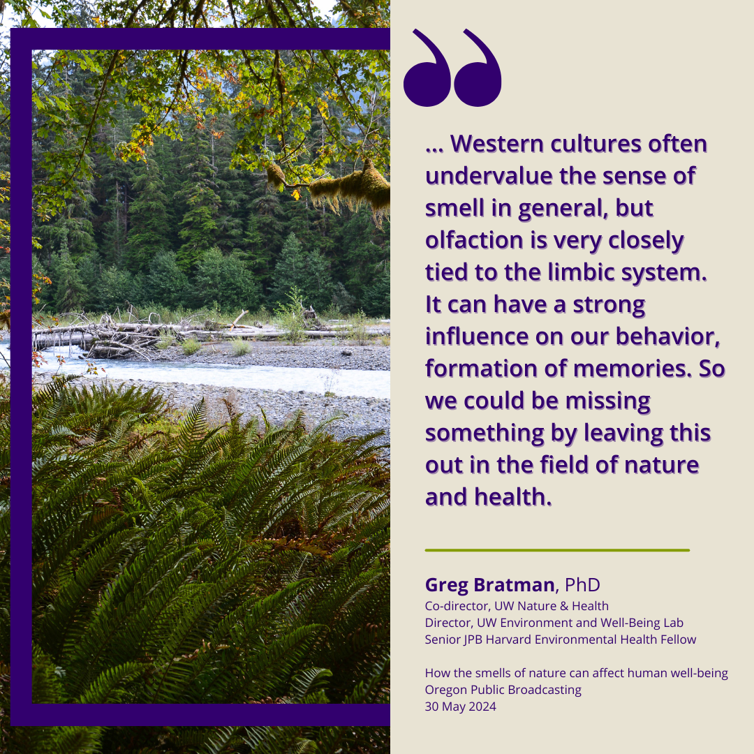 How the Smells of Nature can Affect Human Well-Being | Nature and Health