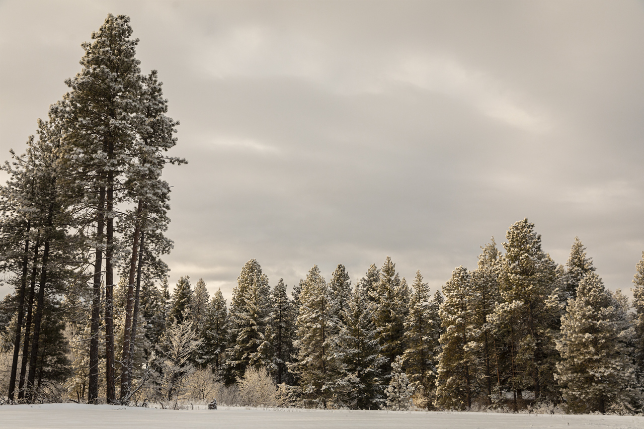 Five Ways to Get Kids Outdoors in Cold Weather | Nature and Health