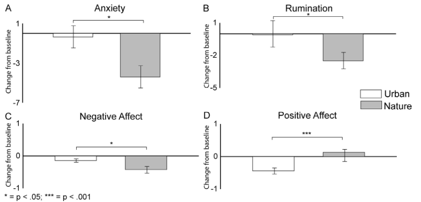 The Benefits of Nature Experience: Improved Affect and Cognition ...